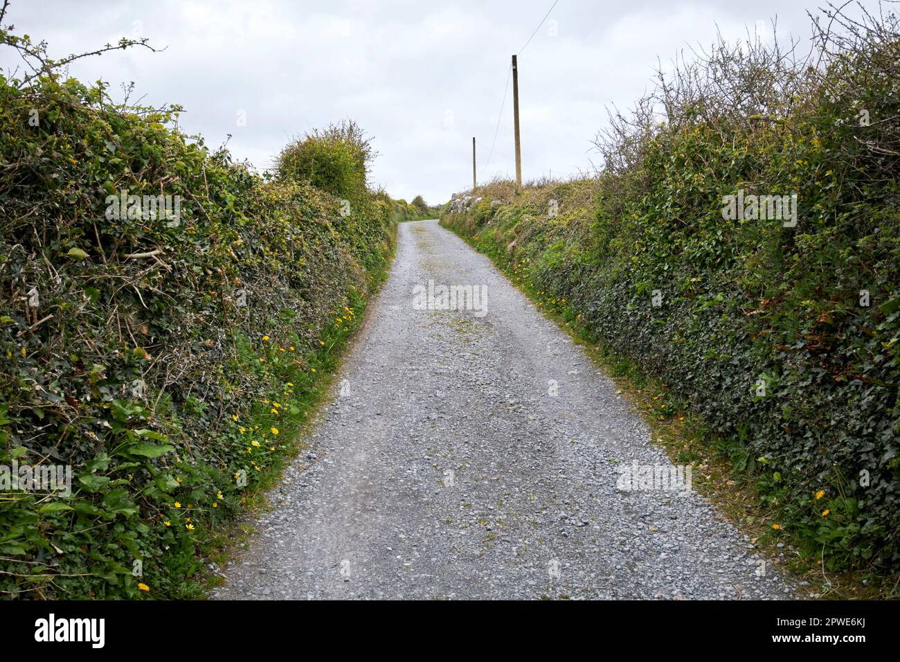 small local country lane lined with hedgerows end of an old famine road ...