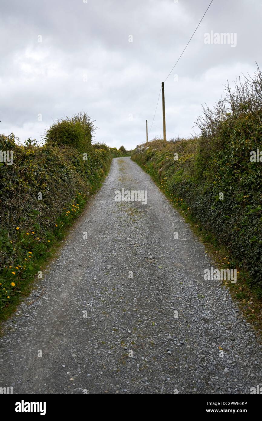 small local country lane lined with hedgerows end of an old famine road ...