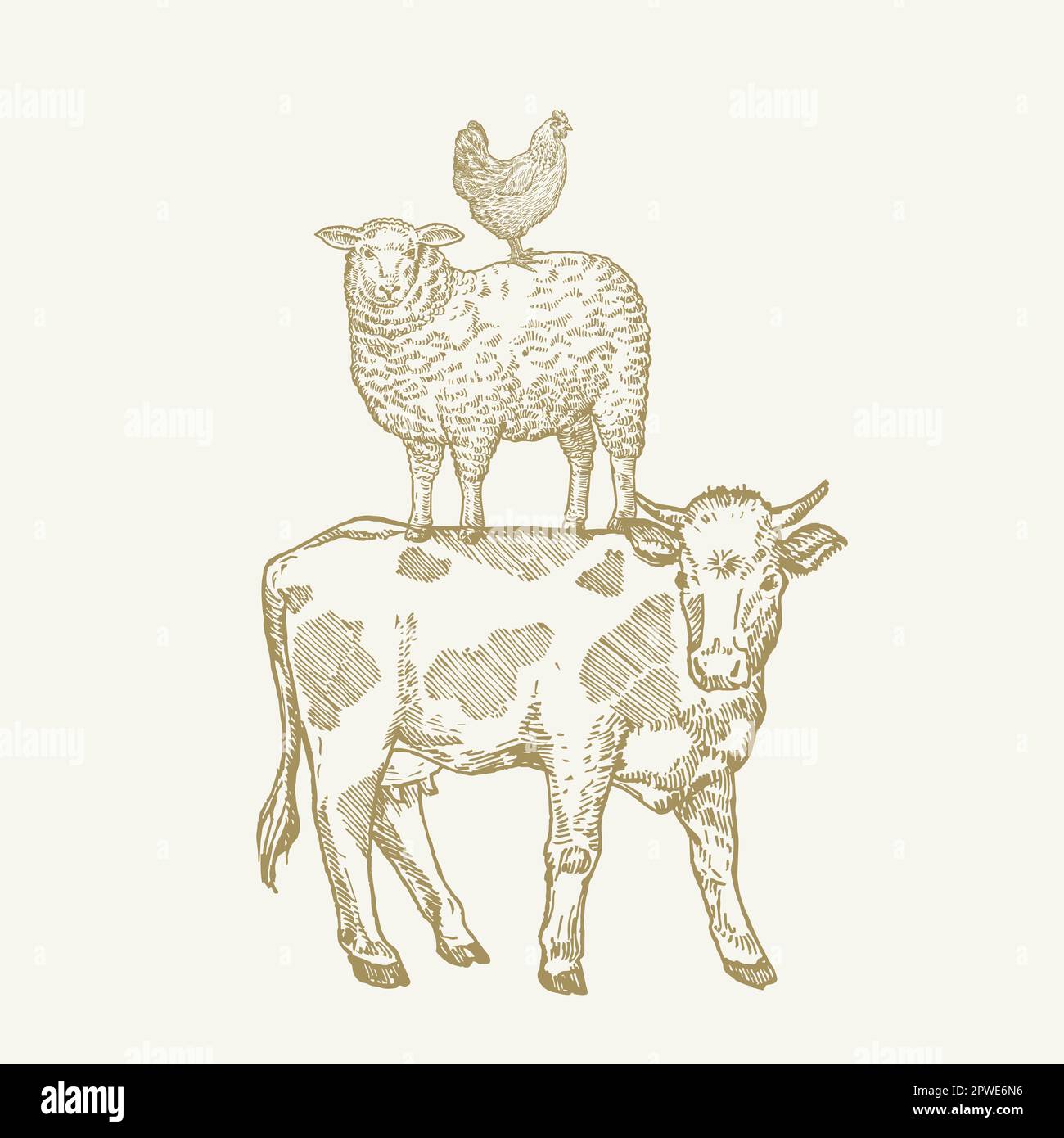 Hand Drawn Engraving Style Cow, Sheep and Chicken Sillhouettes standing ...