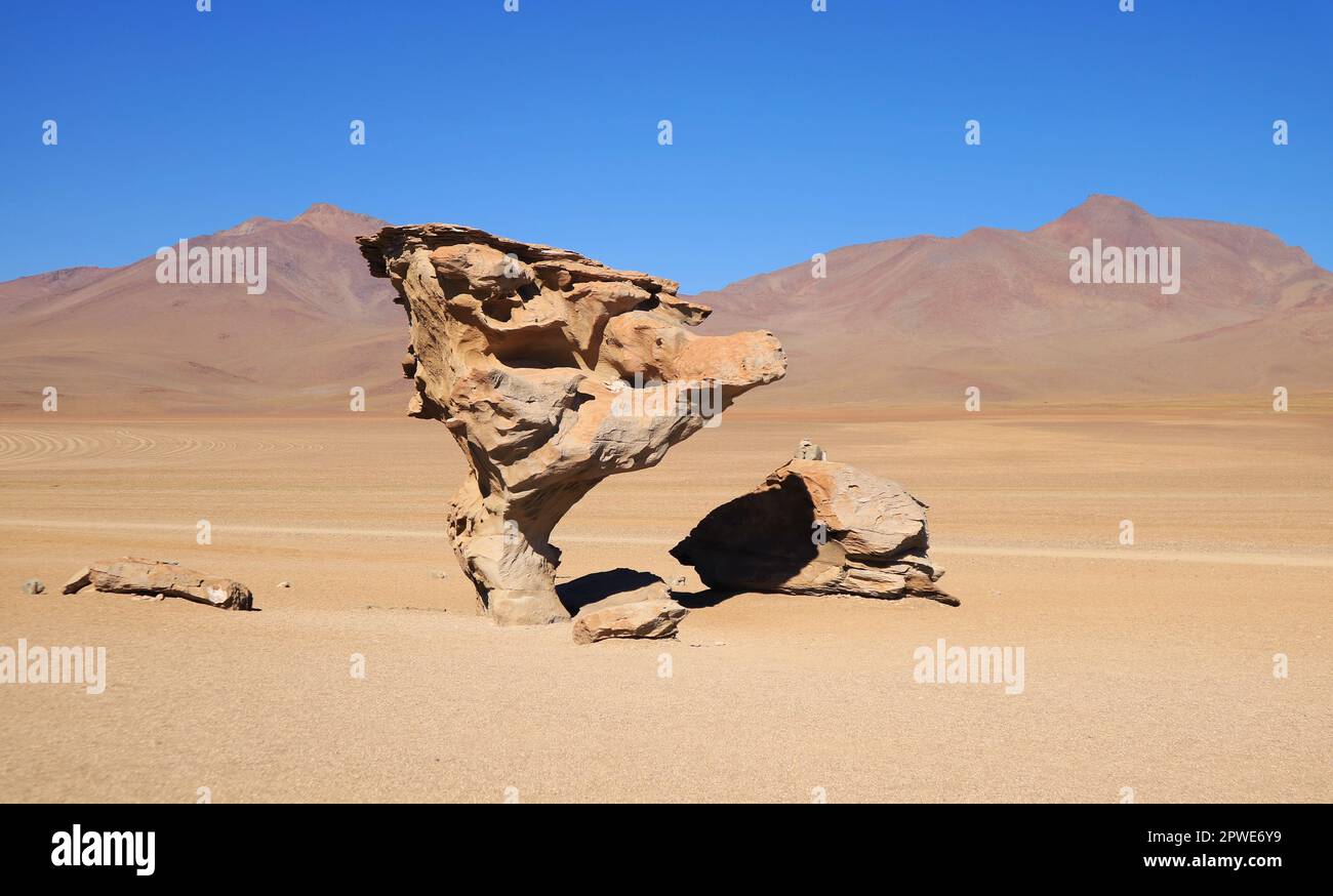 Stone Tree Called Arbol de Piedra, an Iconic Rock Formation in Eduardo ...