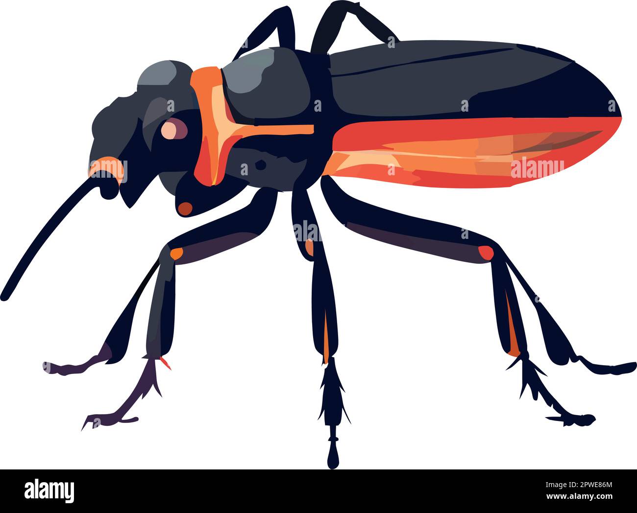 Small scarab insect illustration Stock Vector Image & Art - Alamy