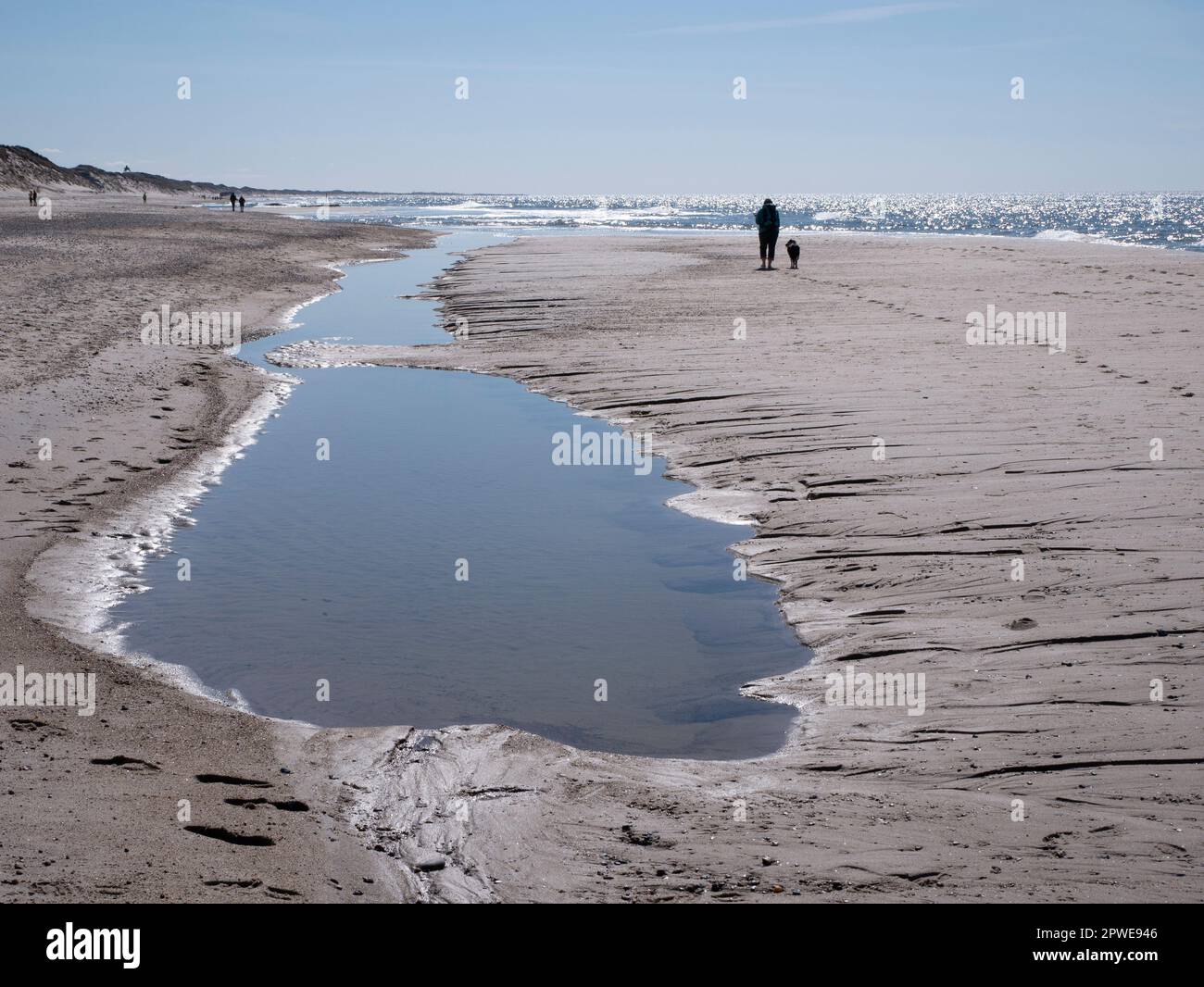 Spaziergänger am Meer, Spaziergänger mit Hund am Meer, Walkers by the ...