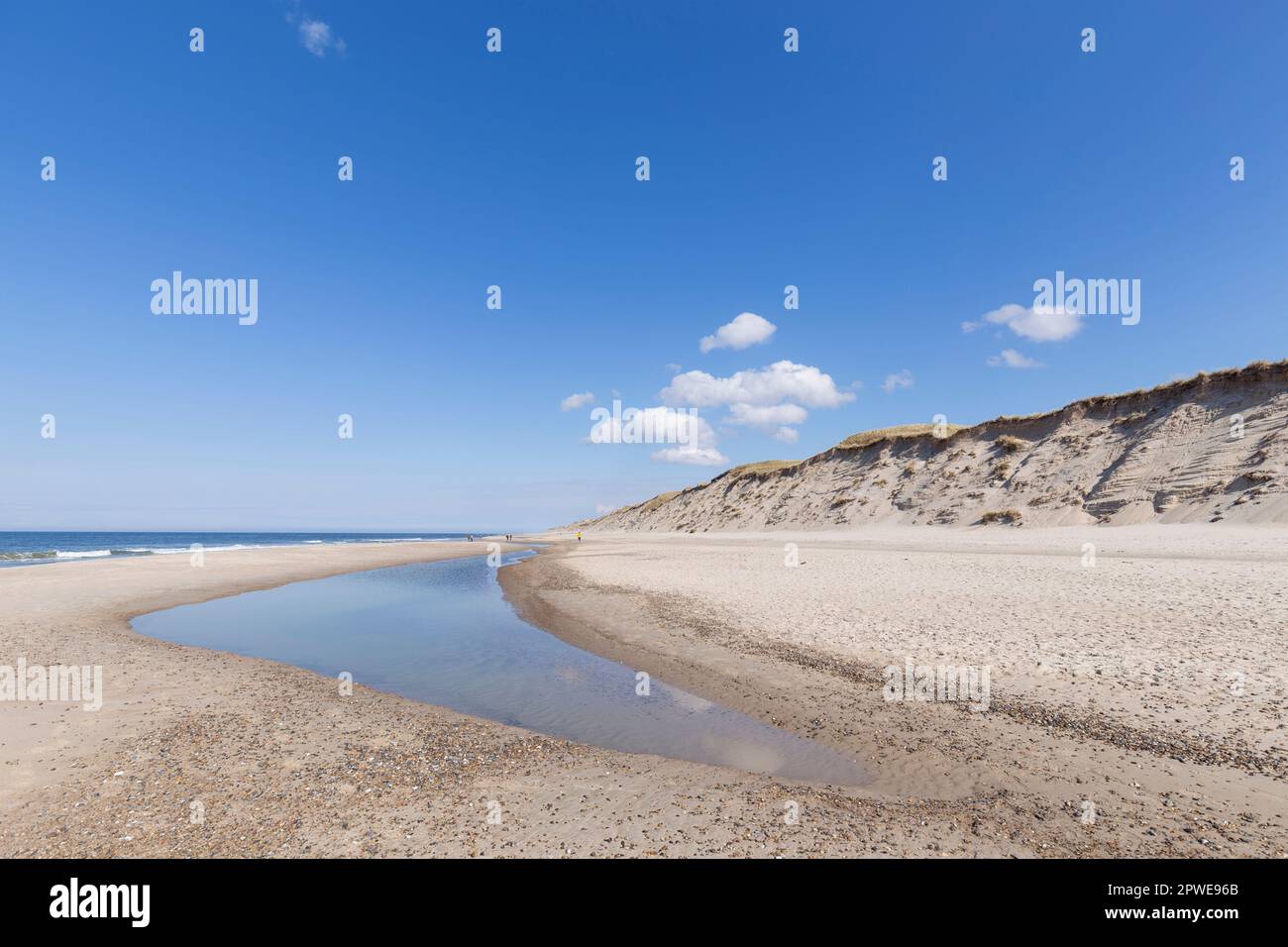 Am Meeresstrand, Dänemark, Nordsee, At the sea beach, Denmark, North ...