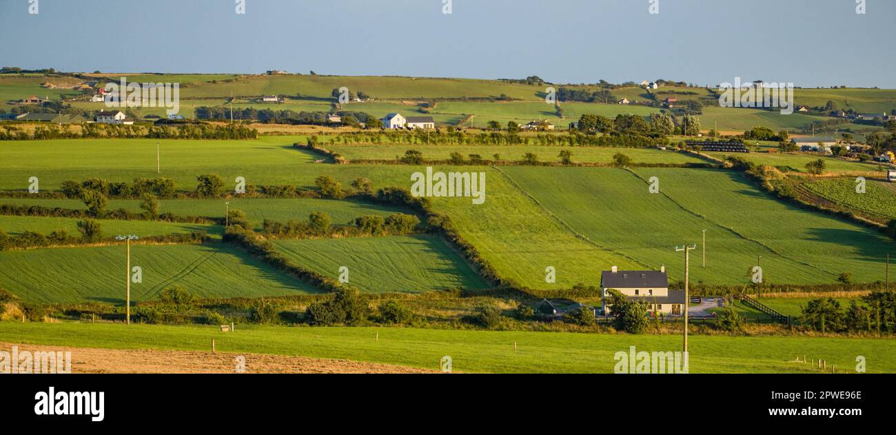 Irish grass hi-res stock photography and images - Alamy