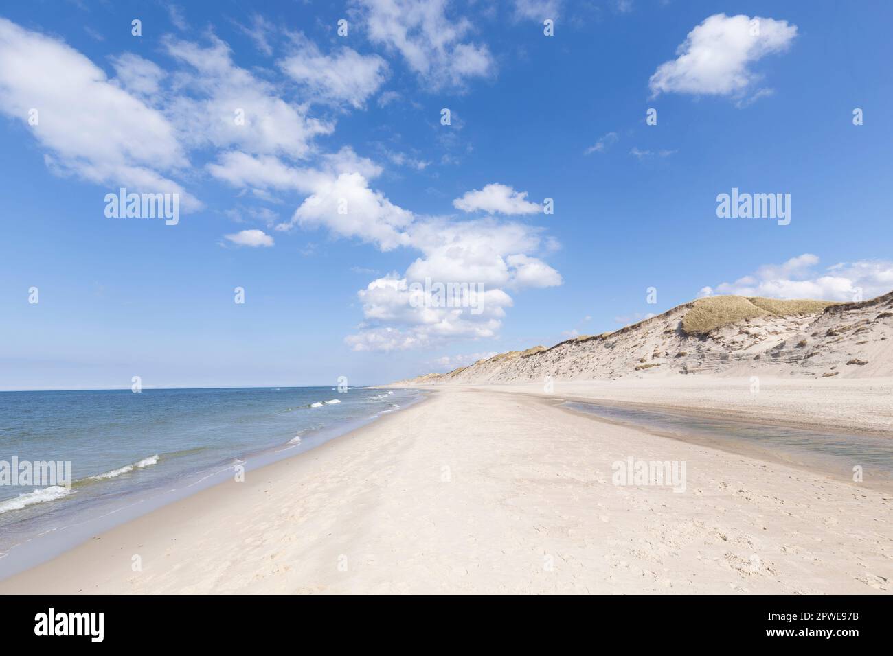 Am Meeresstrand, Dänemark, Nordsee, At the sea beach, Denmark, North ...