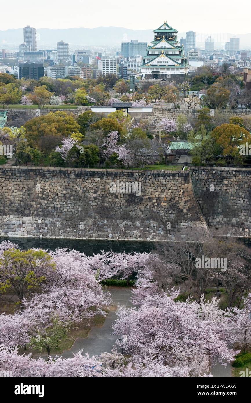 Cherry blossoms and the moat of Osaka Castle, Osaka, Japan Stock Photo ...