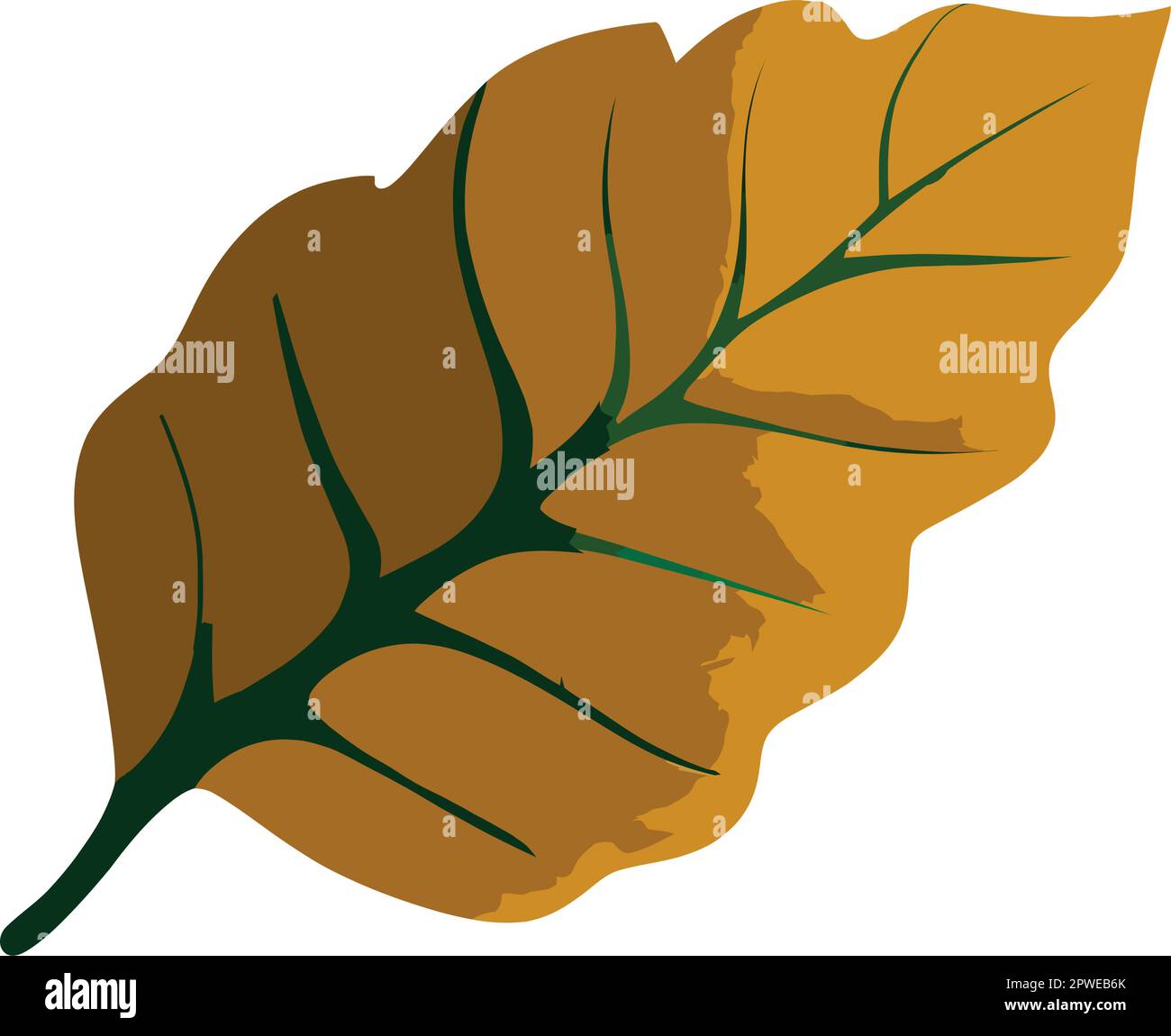 Autumn leaf design Stock Vector Image & Art - Alamy