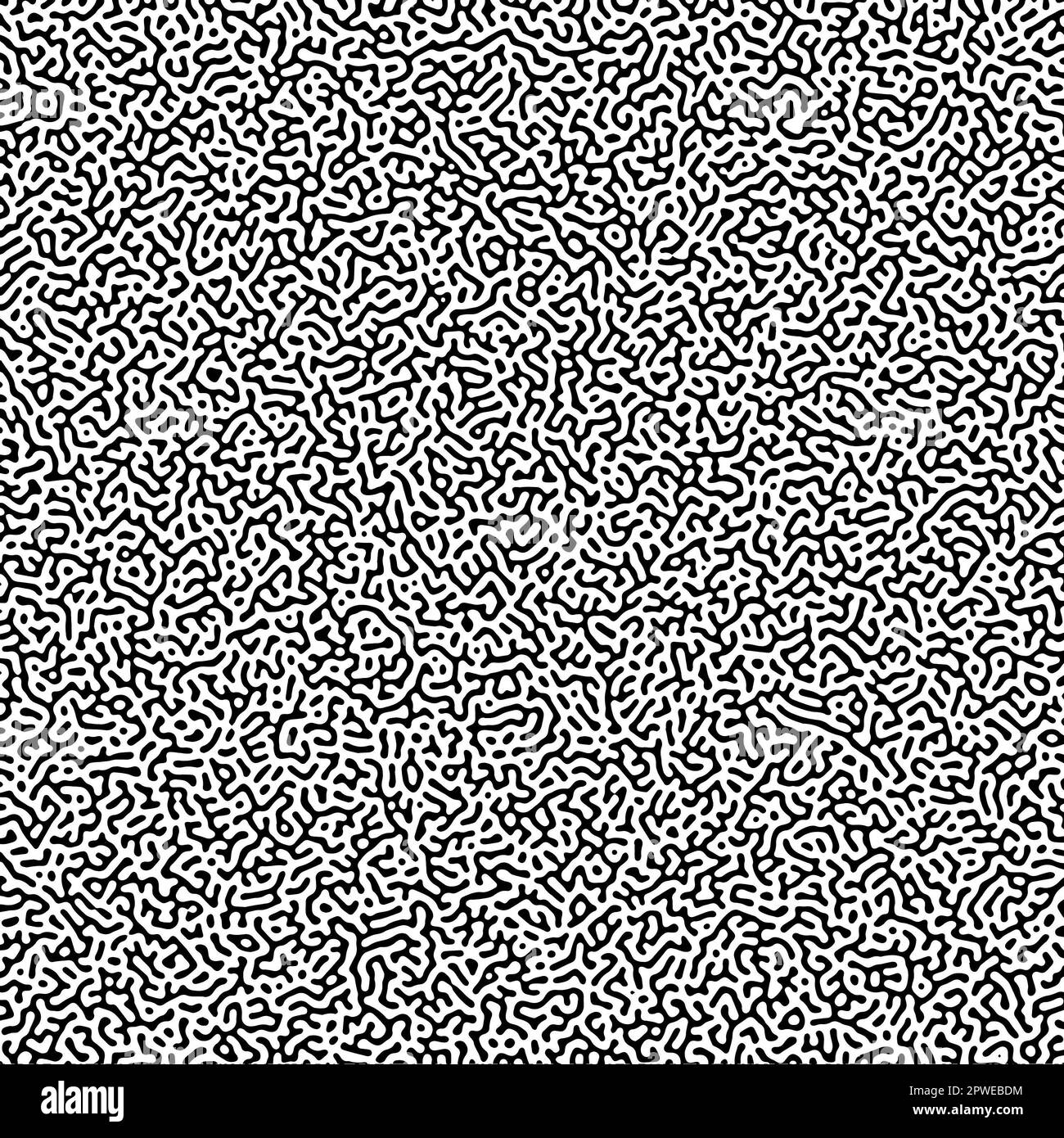 Turing Pattern Backgroundblack And White Turing Pattern You Can Use This Pattern In Any Design
