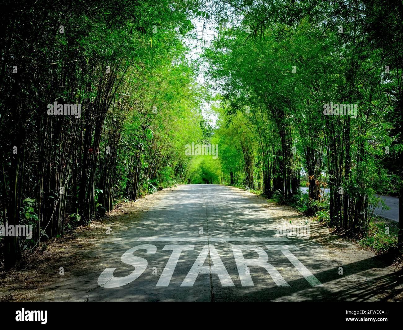 Word "START", new beginning concept. Text written on the local concrete ...