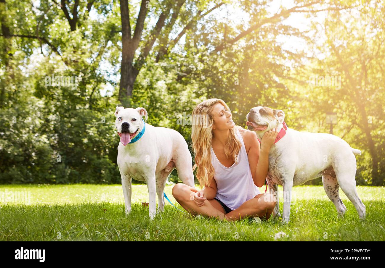 Two kids two dogs hi-res stock photography and images - Alamy