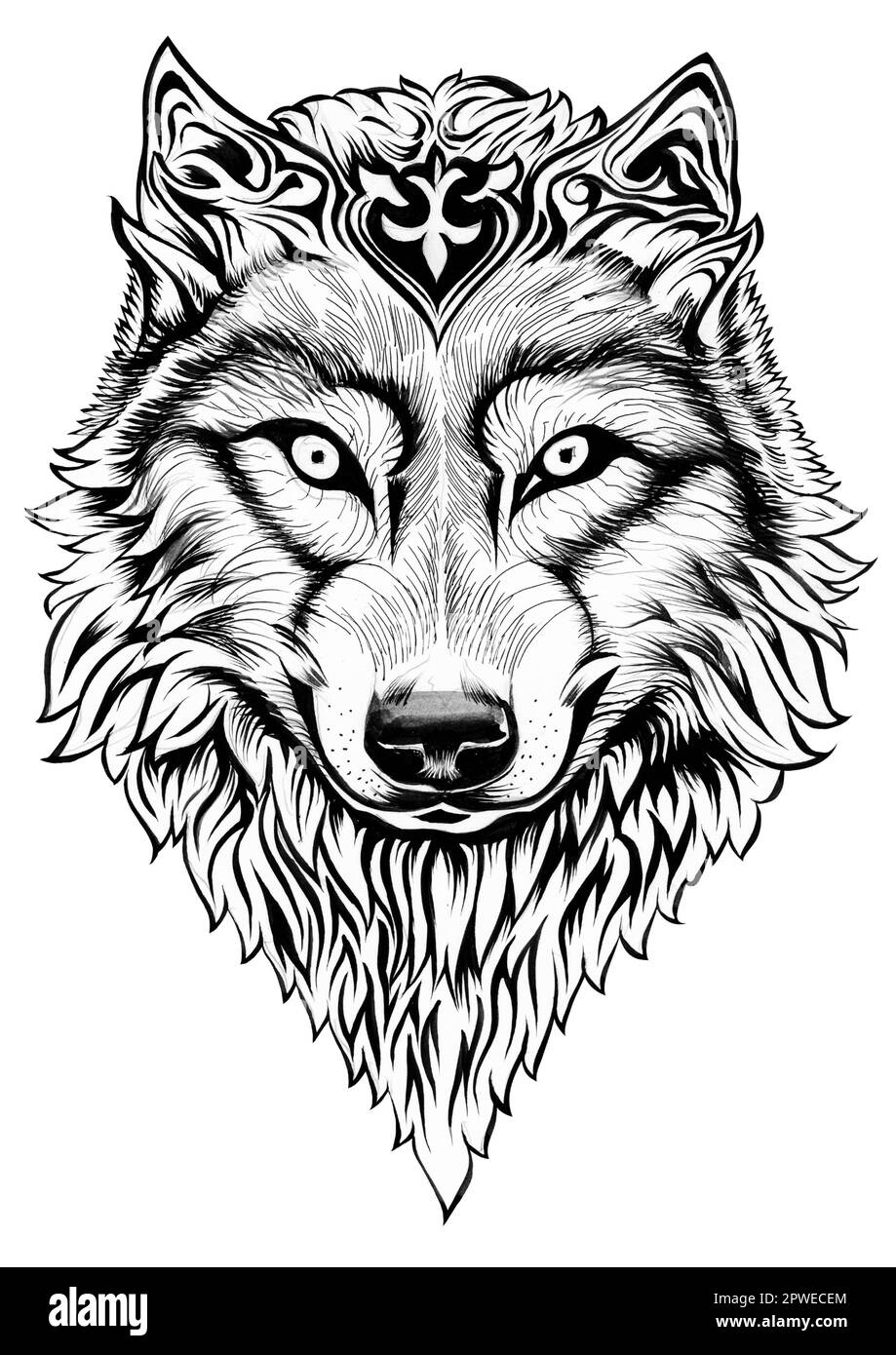 Beautiful decorative wolf lineart design Stock Photo - Alamy