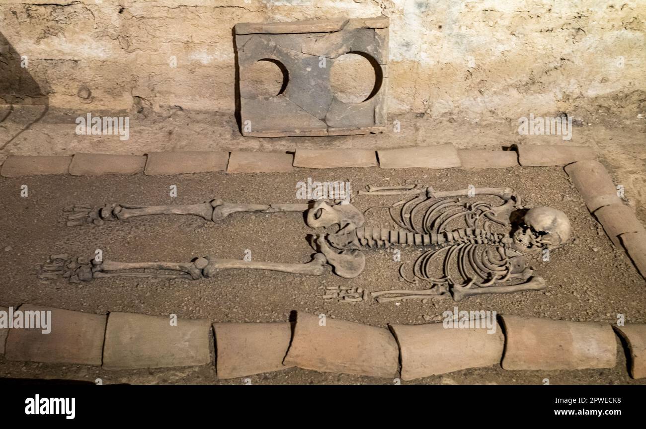 A Roman-era skeleton dating from the 2nd - 4th Century AD on display in ...