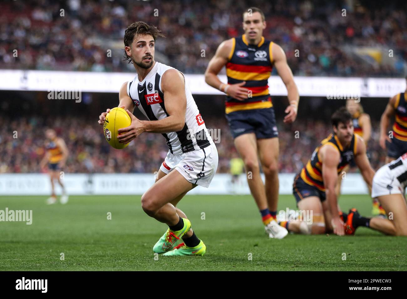 Josh Daicos of the Magpies during the AFL Round 7 match between the ...
