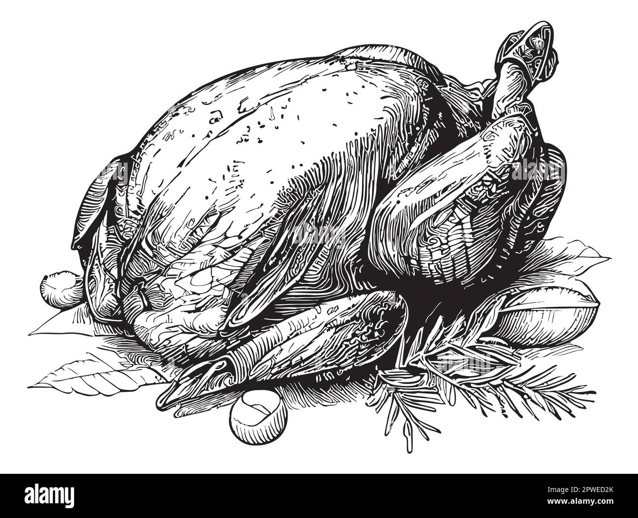 Fried turkey delicious dish hand drawn sketch illustration Stock Vector ...