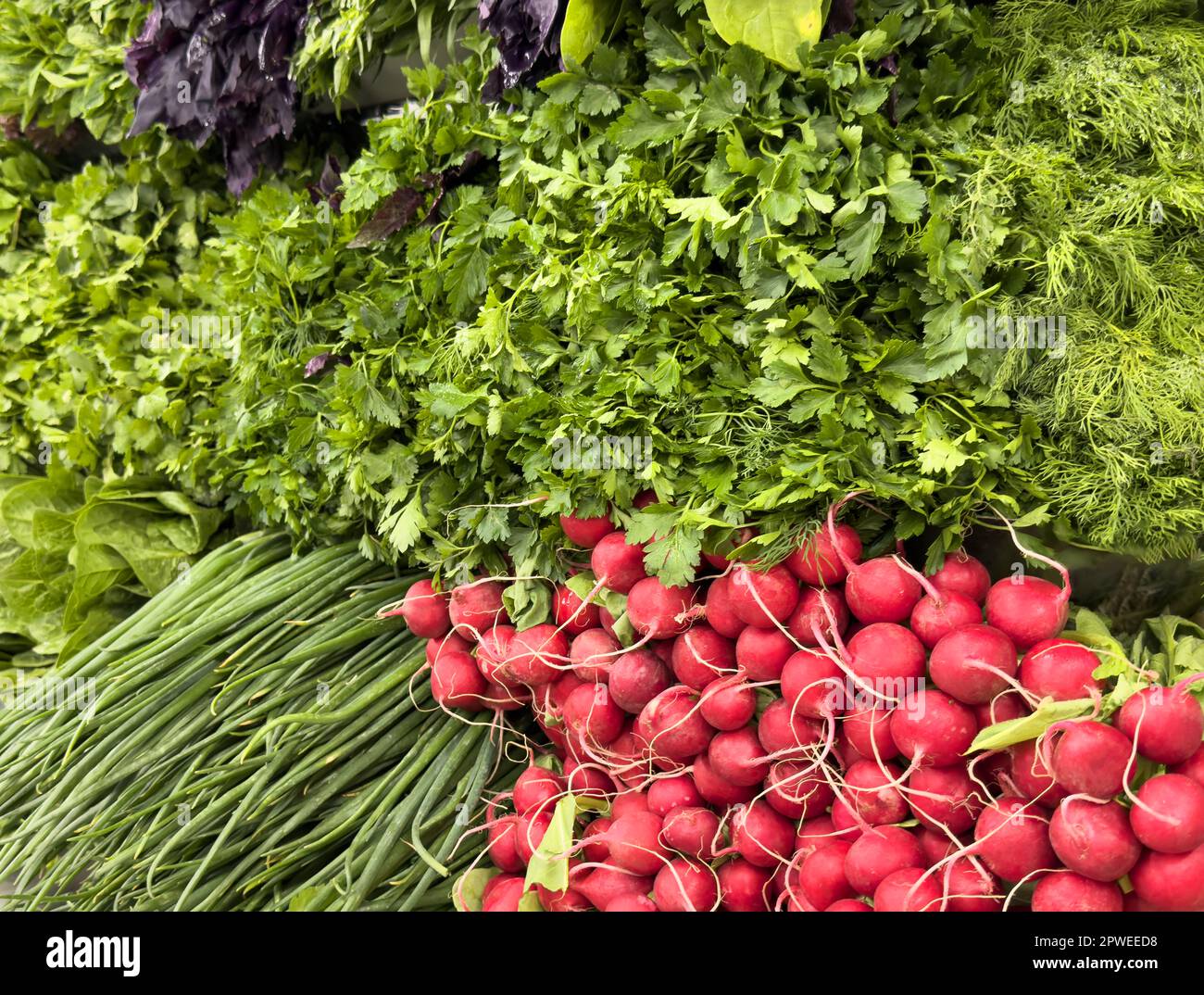 Vegetable set on the market counter. Green onions, red radishes ...