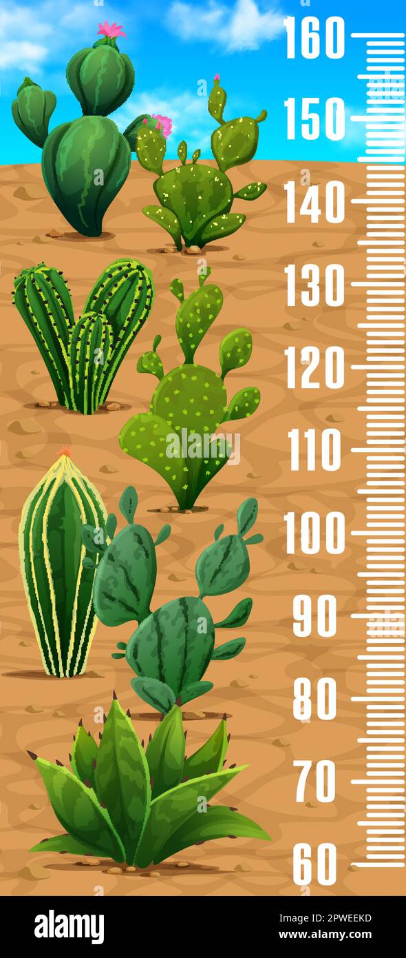 Kids height chart ruler. Mexican prickly cactus succulents in desert ...