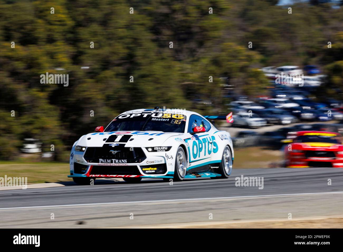 Haltech superute series hi-res stock photography and images - Alamy