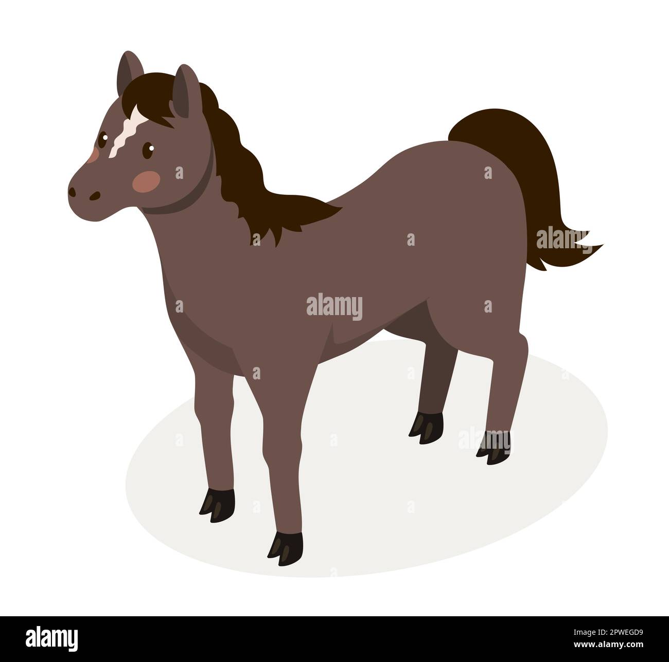 Horse equestrian infographic hi-res stock photography and images - Alamy