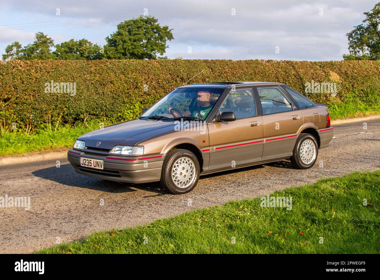 Rare lynx bronze hi-res stock photography and images - Alamy