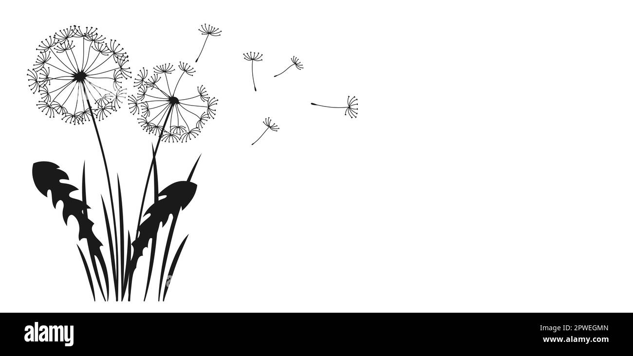 Stylized dandelions Stock Vector Images - Alamy