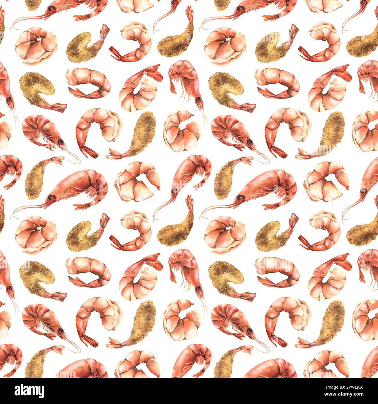Boiled and fried peeled and unpeeled shrimp. Watercolor illustration ...