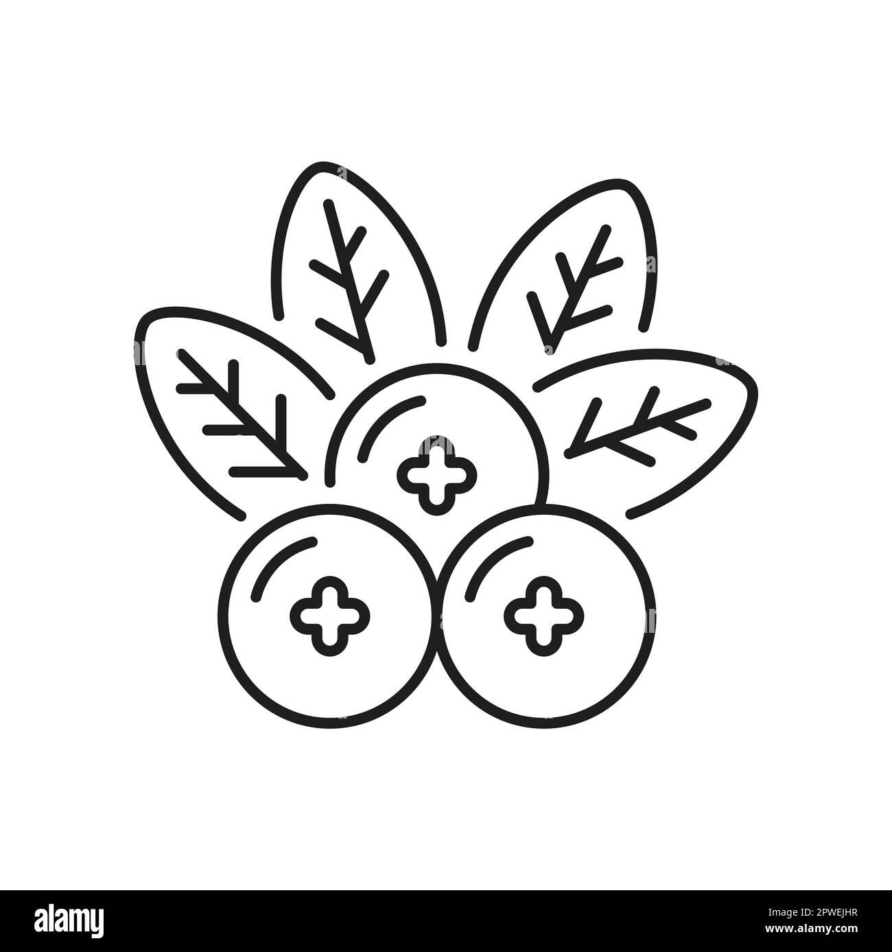 Swedish herbal medicine emblem with Sweden cross sign isolated outline ...