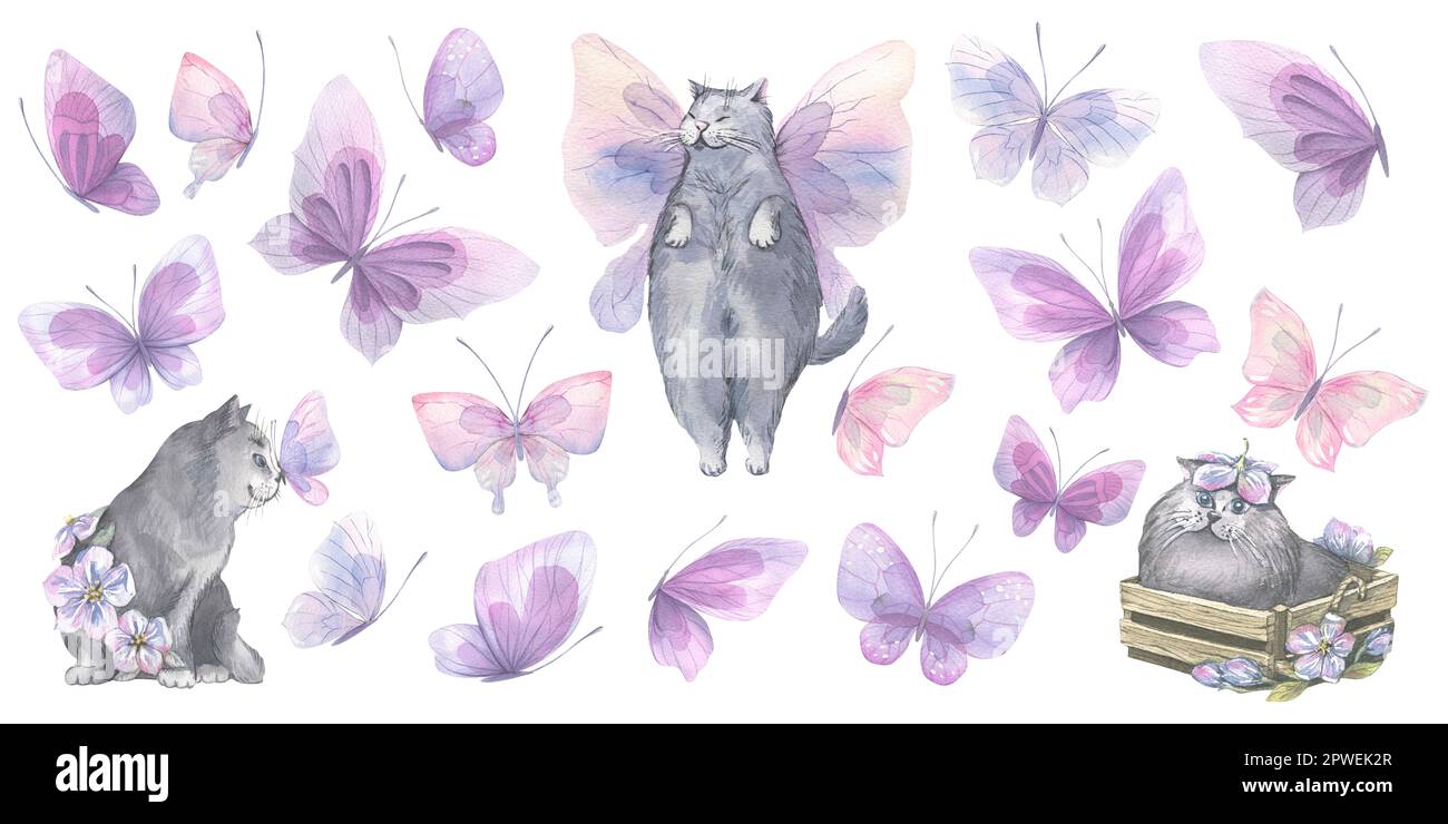 Cute gray cats with purple, pink and lilac butterflies. Watercolor ...