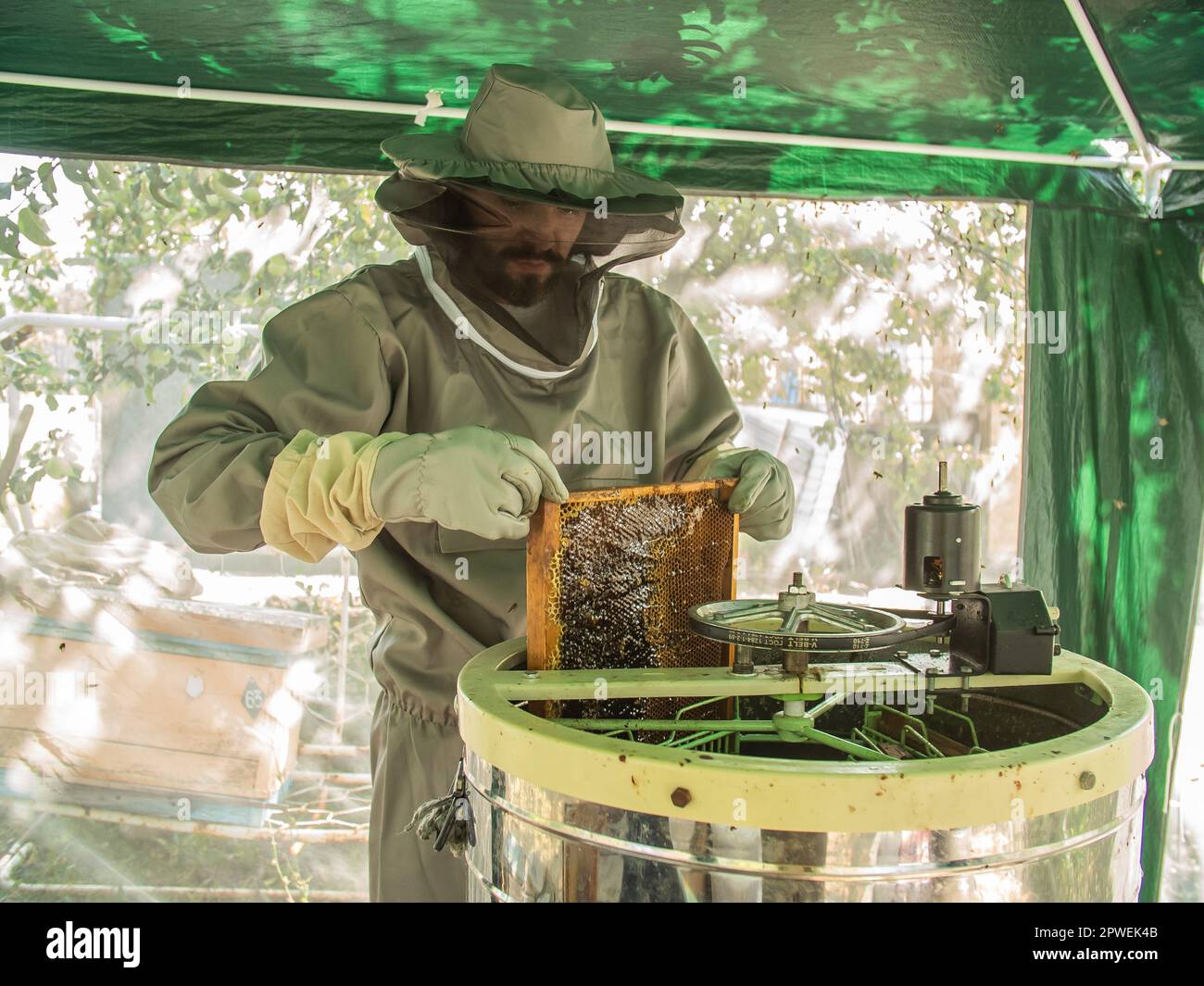 honey production and bees keeping - Beekeeping concept Stock Photo - Alamy