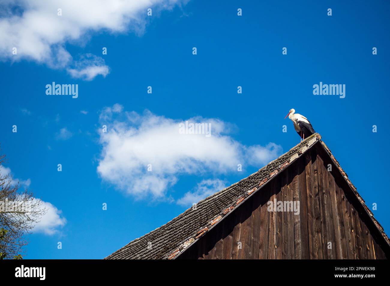 Frank hammerschmidt dpa hi-res stock photography and images - Alamy