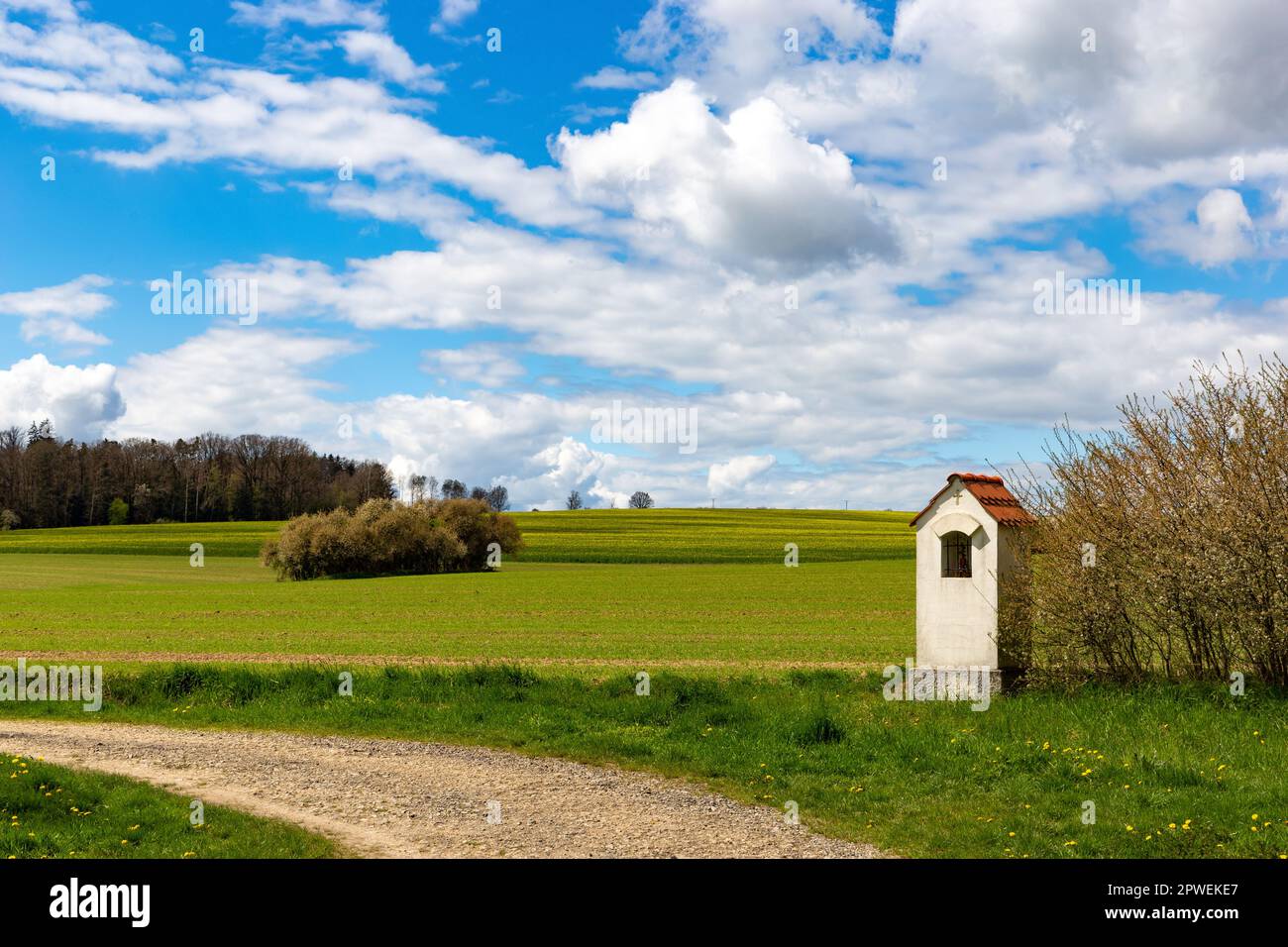 Small chapel column hi-res stock photography and images - Alamy