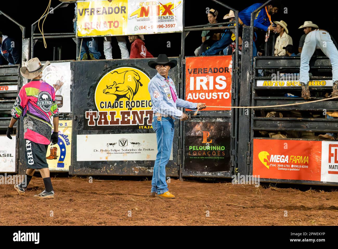 Itaja, Goias, Brazil - 04 21 2023: doorman in the chute at a bull ...