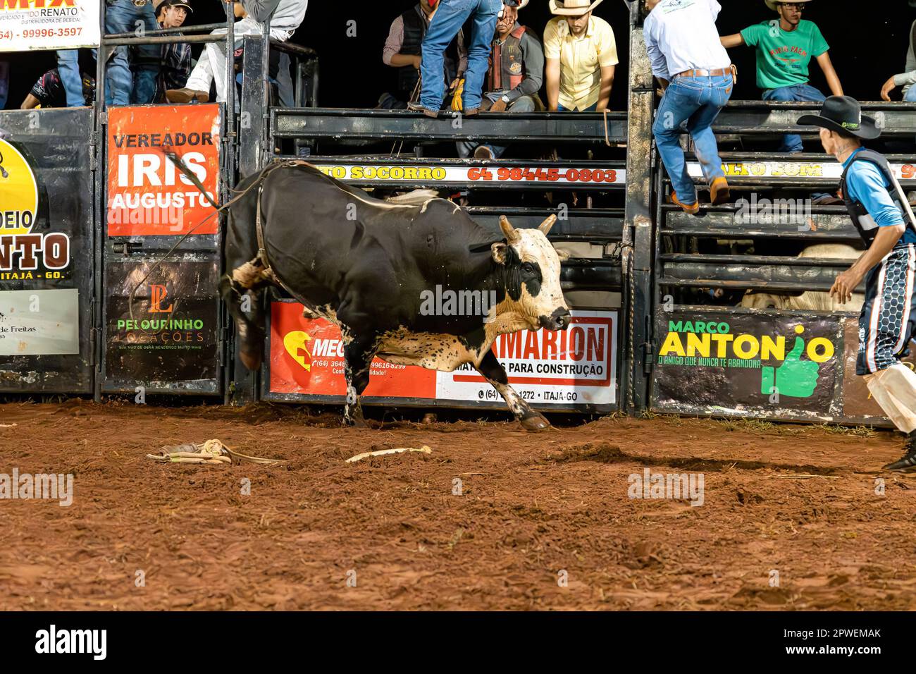 Itaja, Goias, Brazil - 04 21 2023: rodeo life saver with bull in rodeo ...