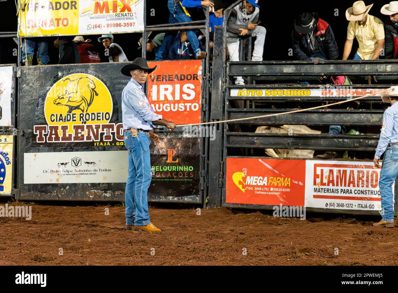 Itaja, Goias, Brazil - 04 21 2023: doorman in the chute at a bull ...