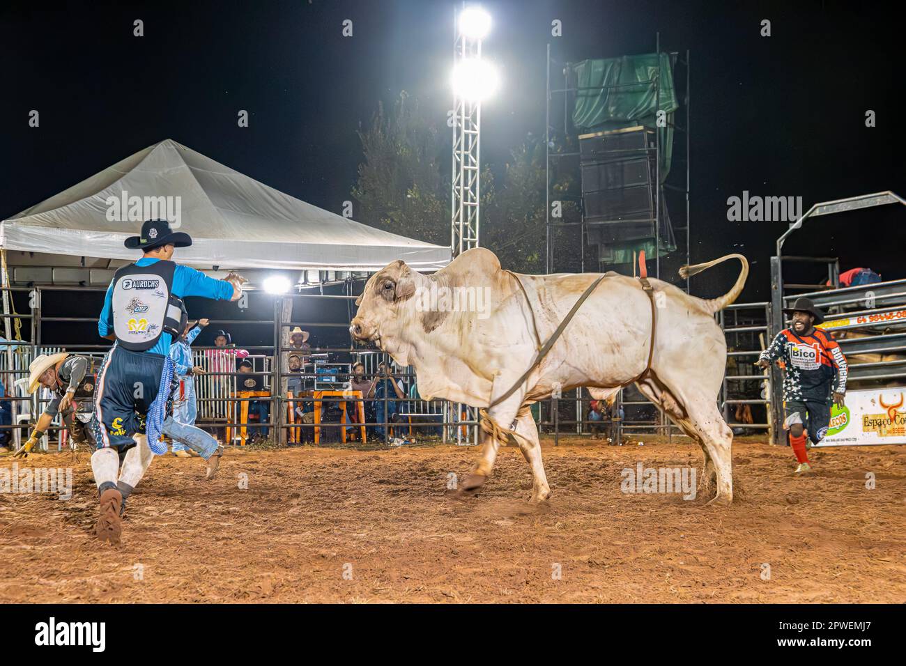 Itaja, Goias, Brazil - 04 21 2023: rodeo life saver with bull in rodeo ...