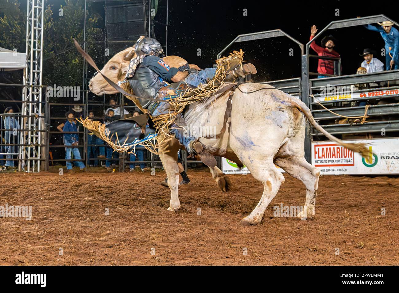 Itaja, Goias, Brazil - 04 21 2023: rodeo rider falling off the bull in ...