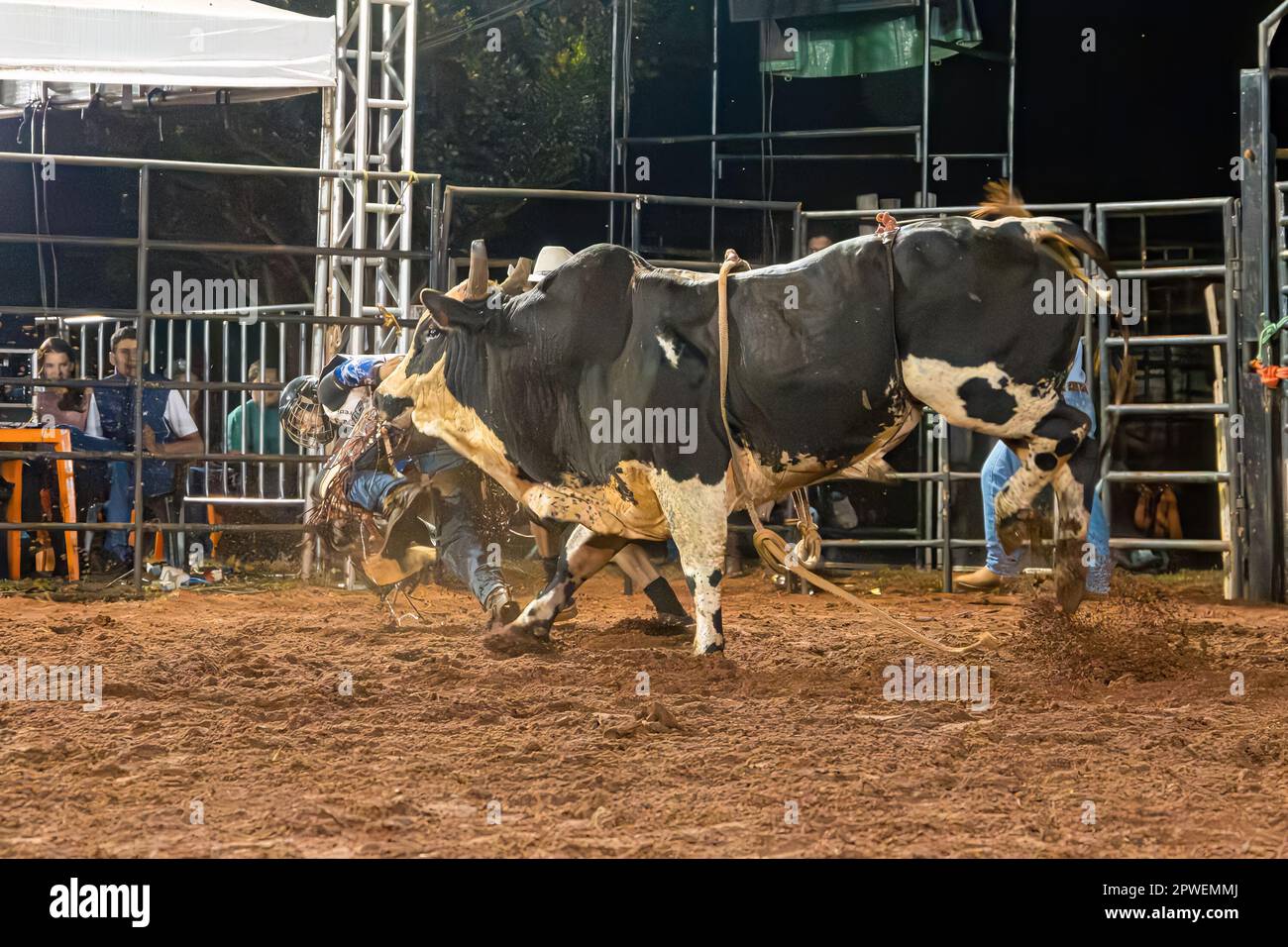 Itaja, Goias, Brazil - 04 21 2023: rodeo rider falling off the bull in ...