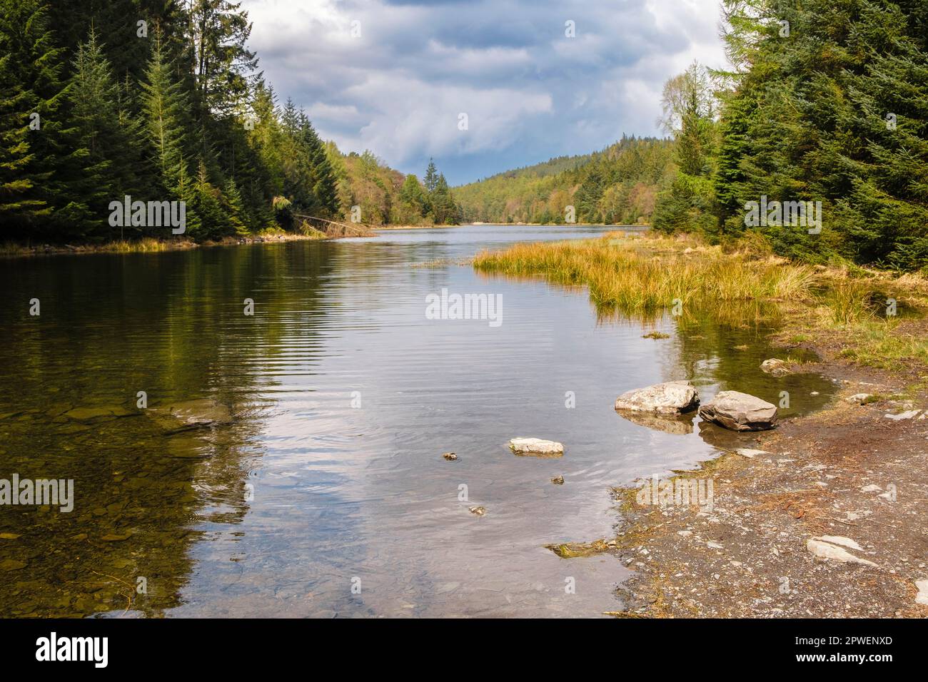View along Llyn y Parc lake in Gwydyr Forest Park in Snowdonia National ...