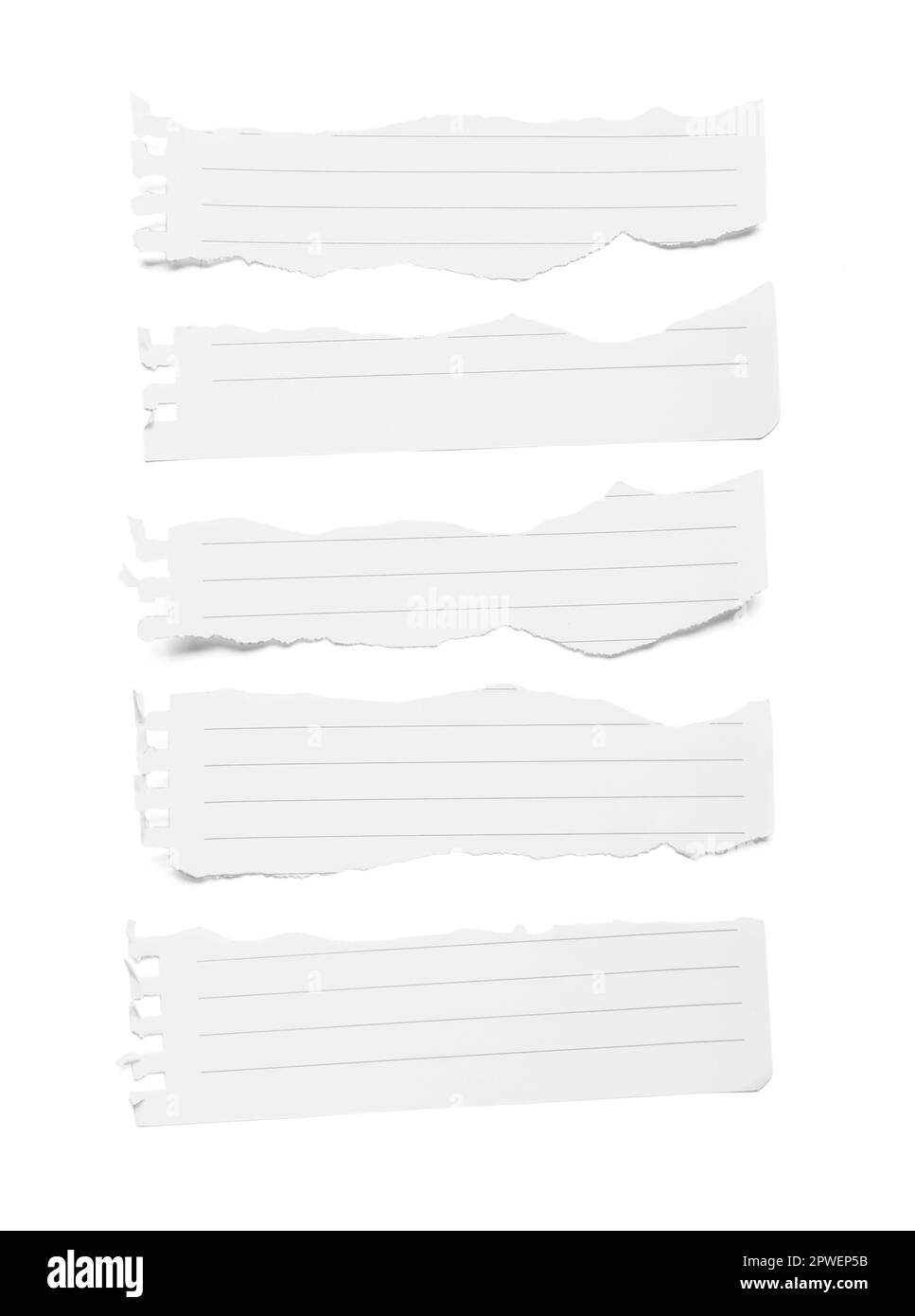 Torn pieces of notebook paper sheets isolated on white background Stock ... Torn pieces of notebook paper sheets isolated on white background Stock ...