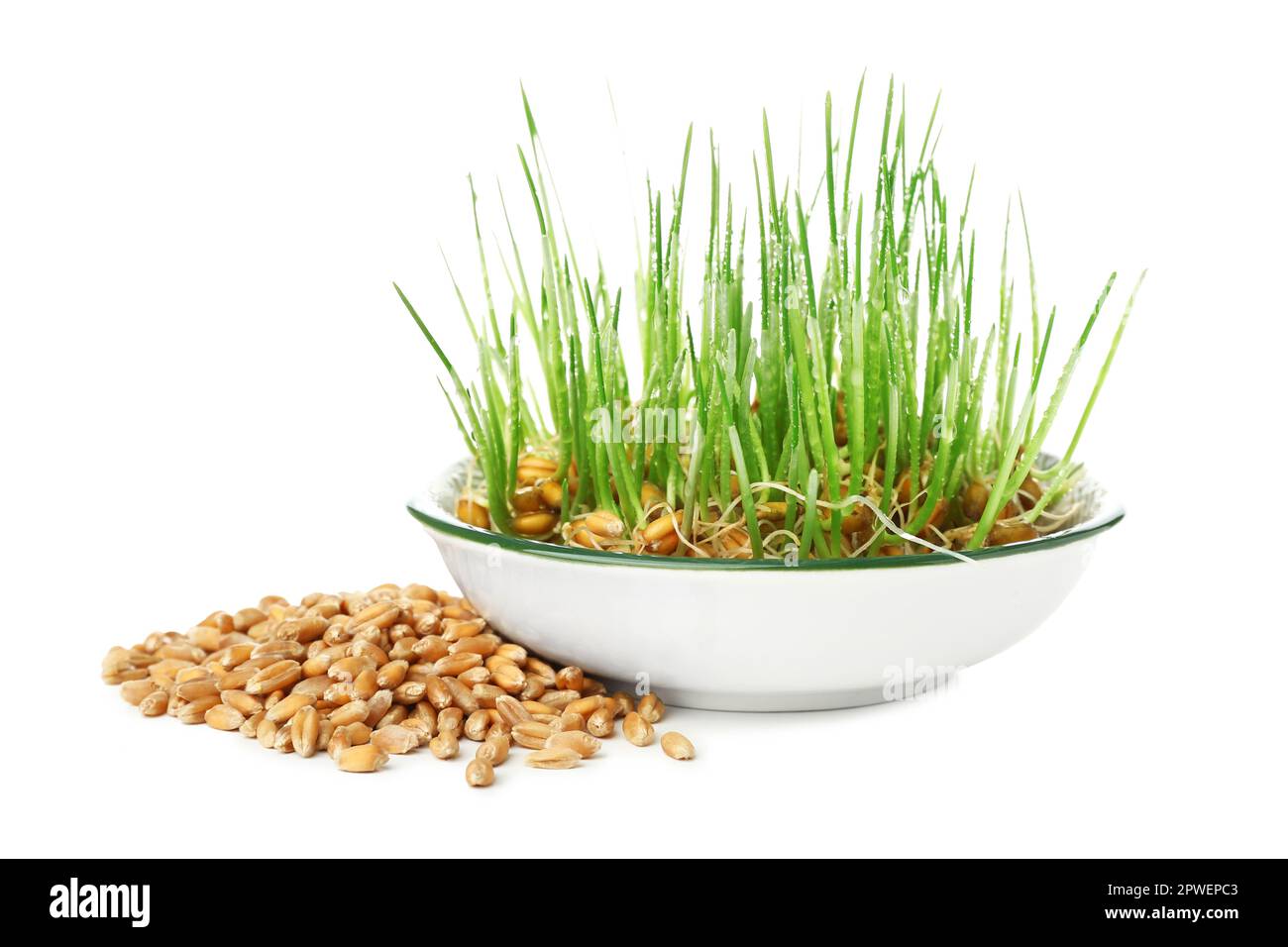 Bowl with fresh wheatgrass and grains on white background Stock Photo ...