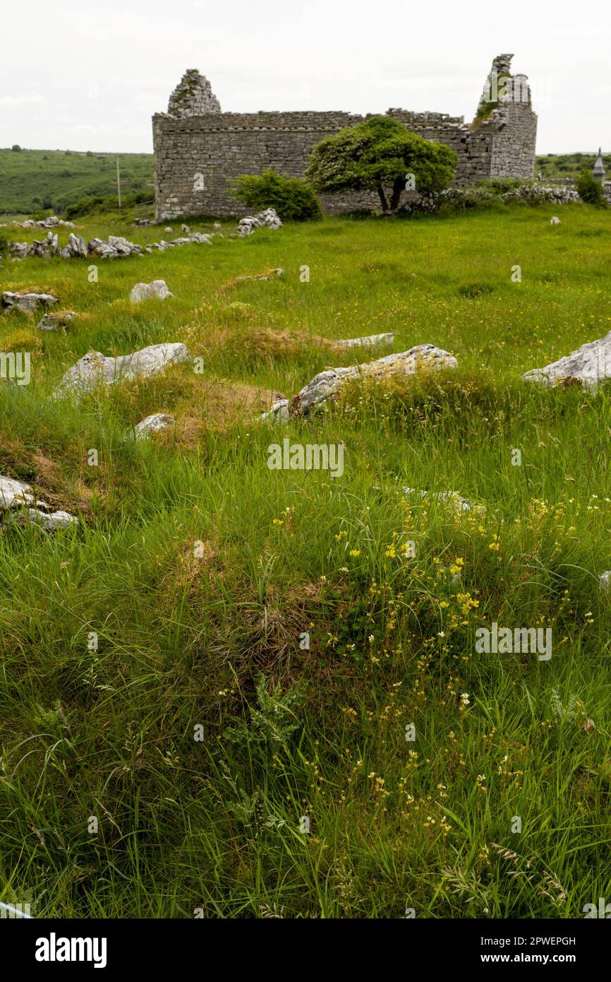 Leamenh Castle Ruins in County Clare, Ireland Stock Photo - Alamy