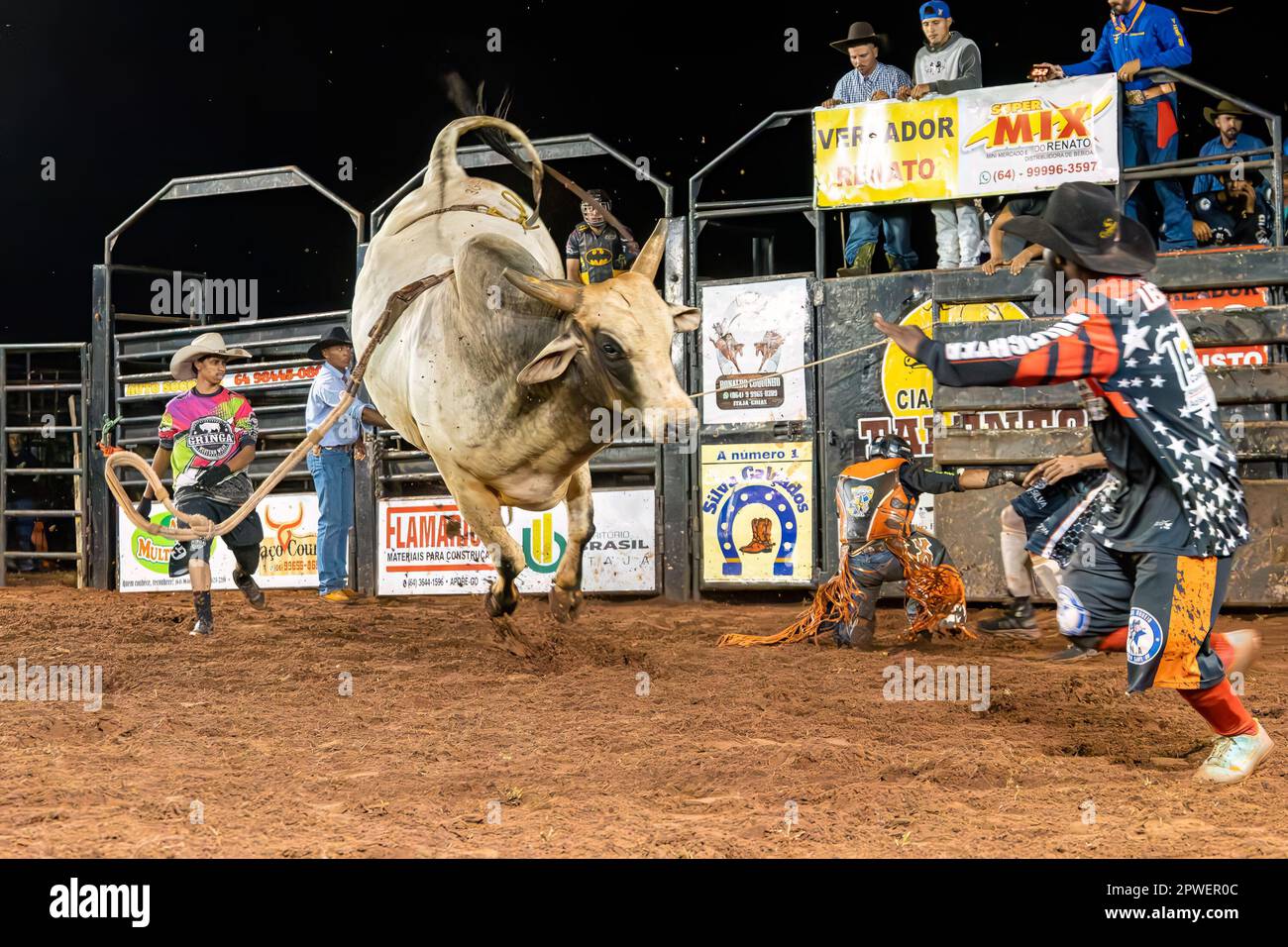 Itaja, Goias, Brazil - 04 21 2023: rodeo rider falling off the bull in ...