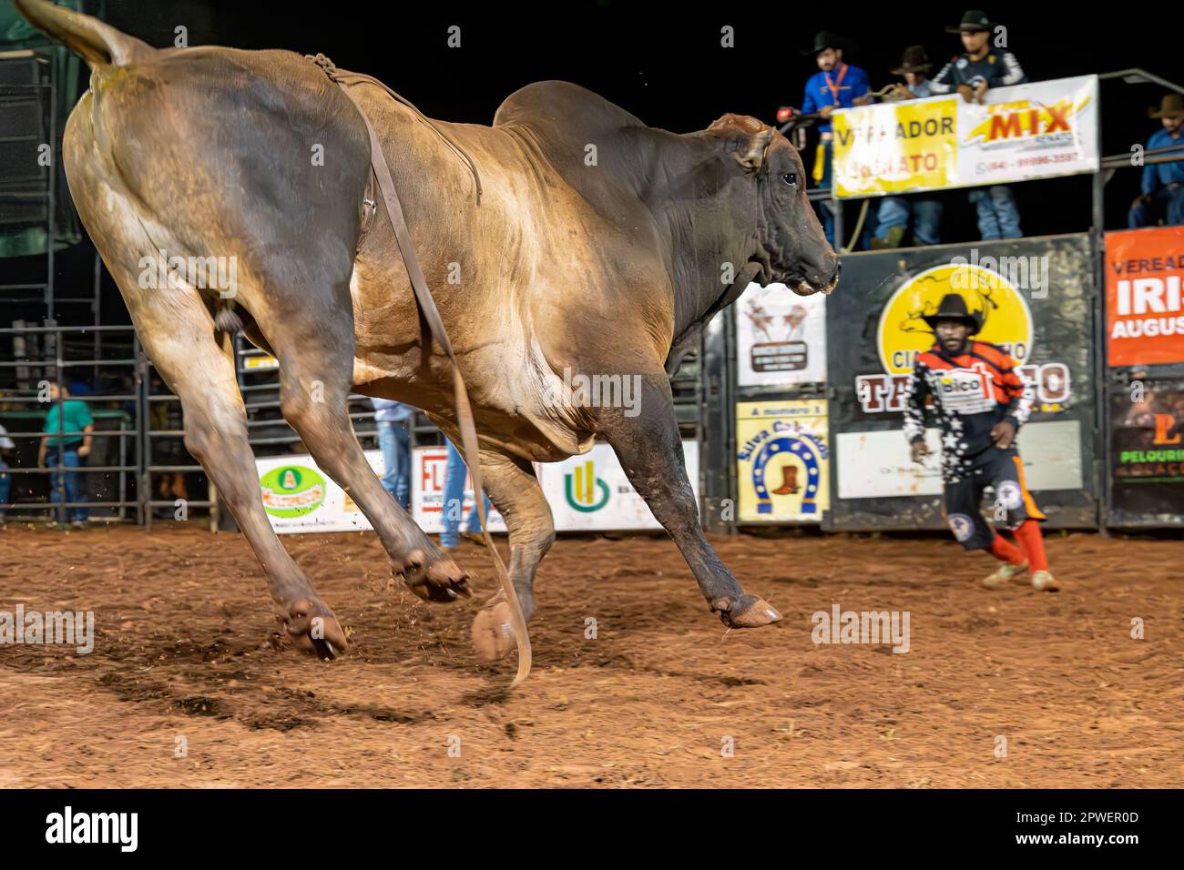 Itaja, Goias, Brazil - 04 21 2023: rodeo life saver with bull in rodeo ...