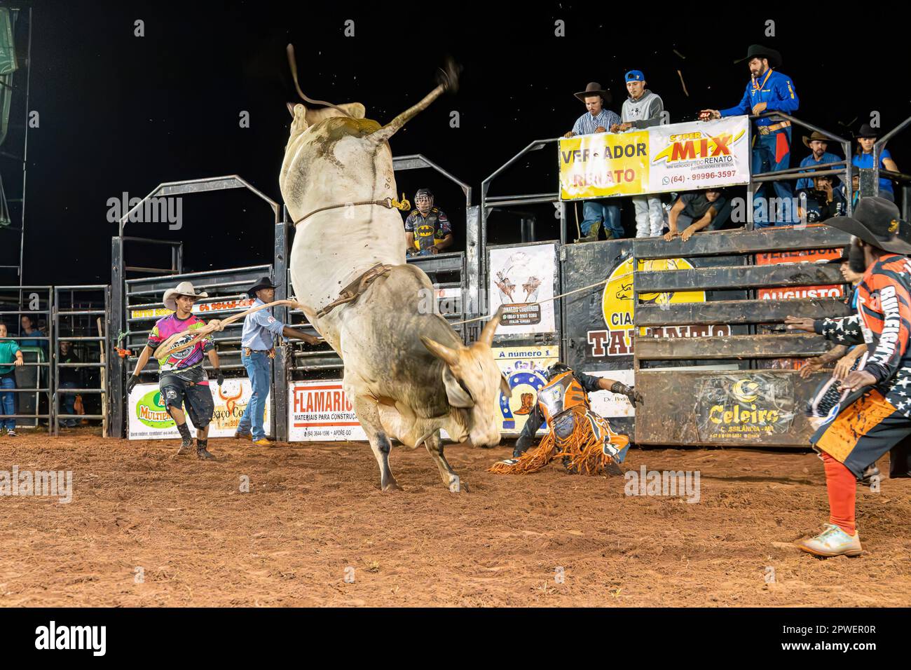 Itaja, Goias, Brazil - 04 21 2023: rodeo rider falling off the bull in ...