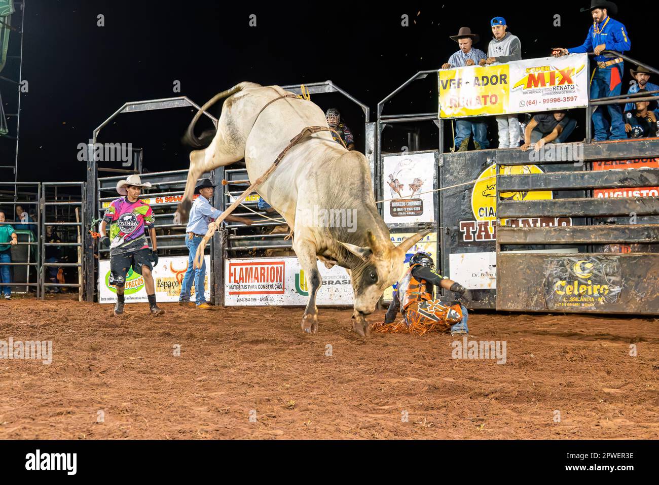 Itaja, Goias, Brazil - 04 21 2023: rodeo rider falling off the bull in ...