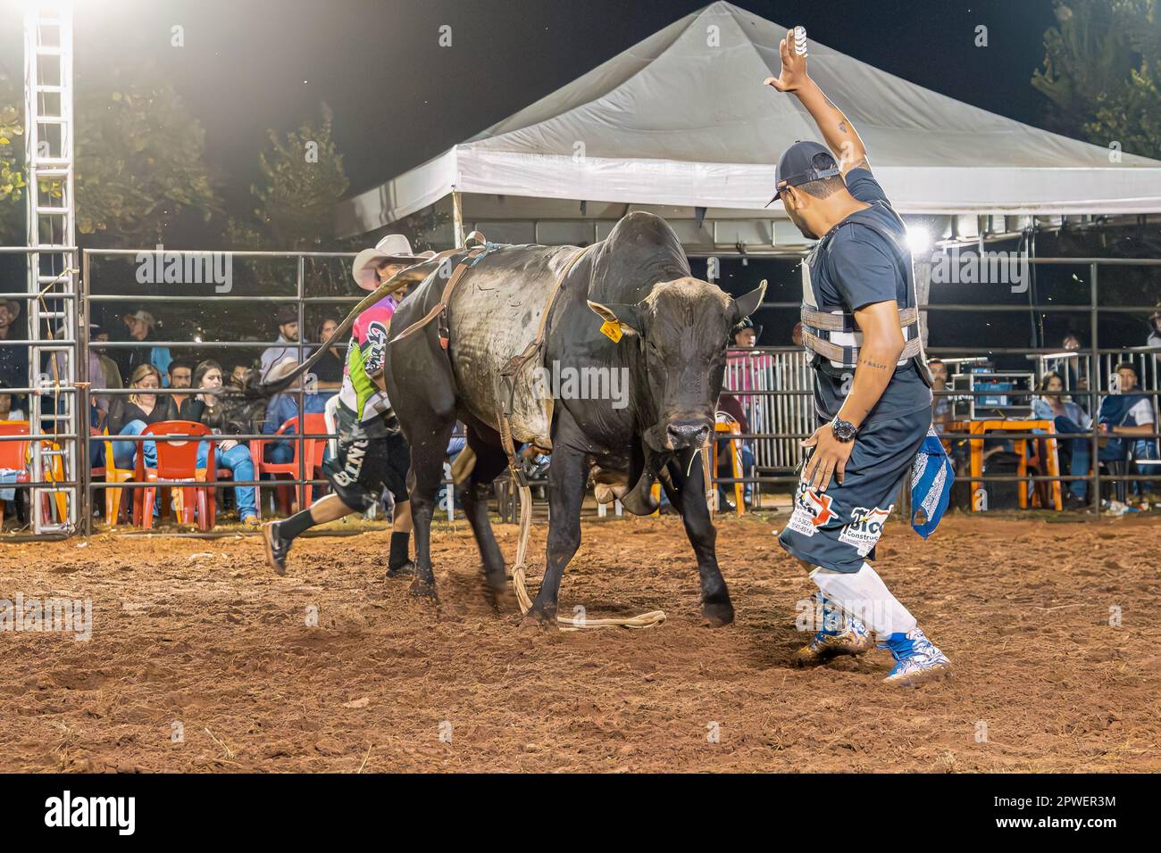 Itaja, Goias, Brazil - 04 22 2023: rodeo life saver with bull in rodeo ...