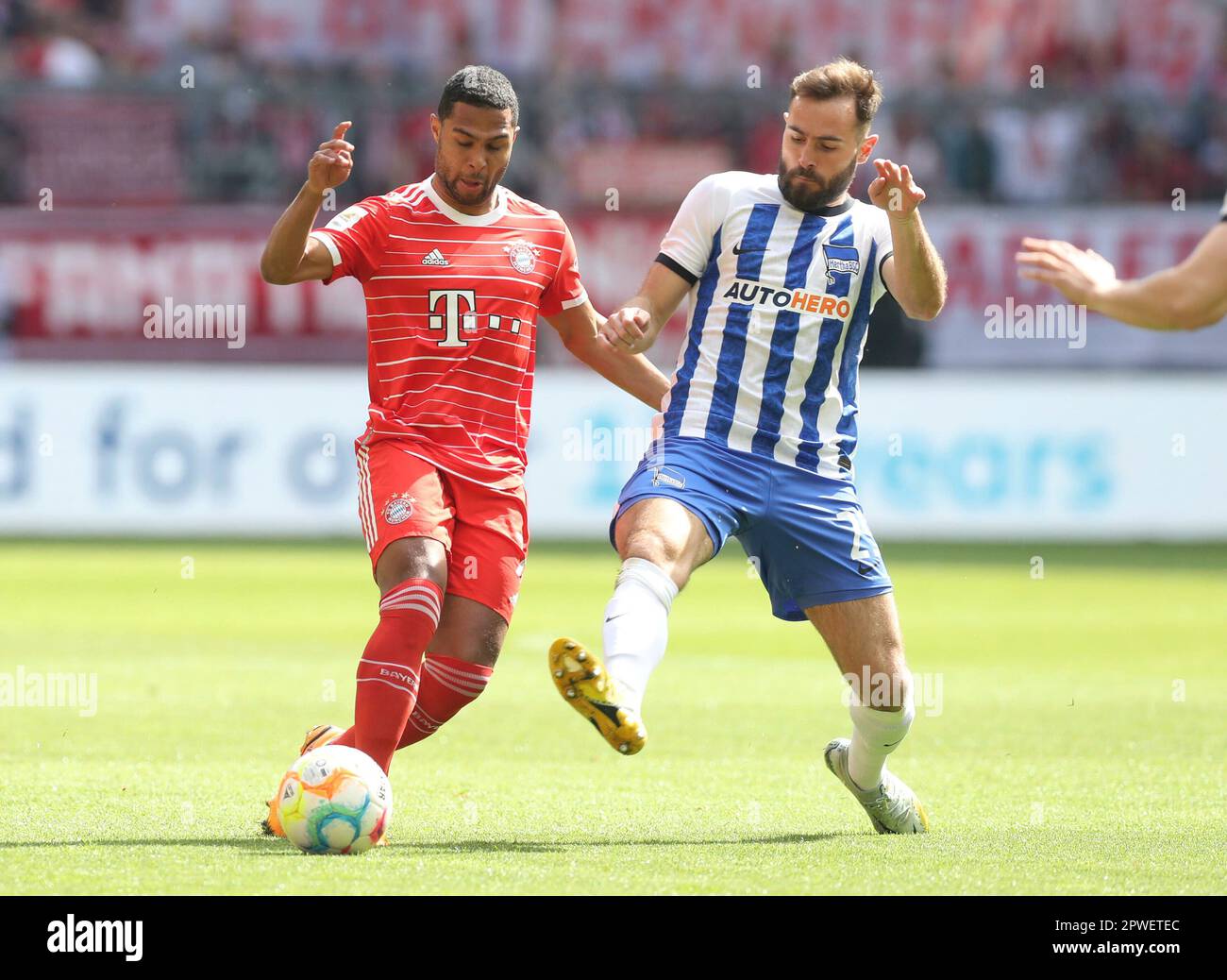 Hertha bsc berlin fc bayern munich munich hi-res stock photography and ...