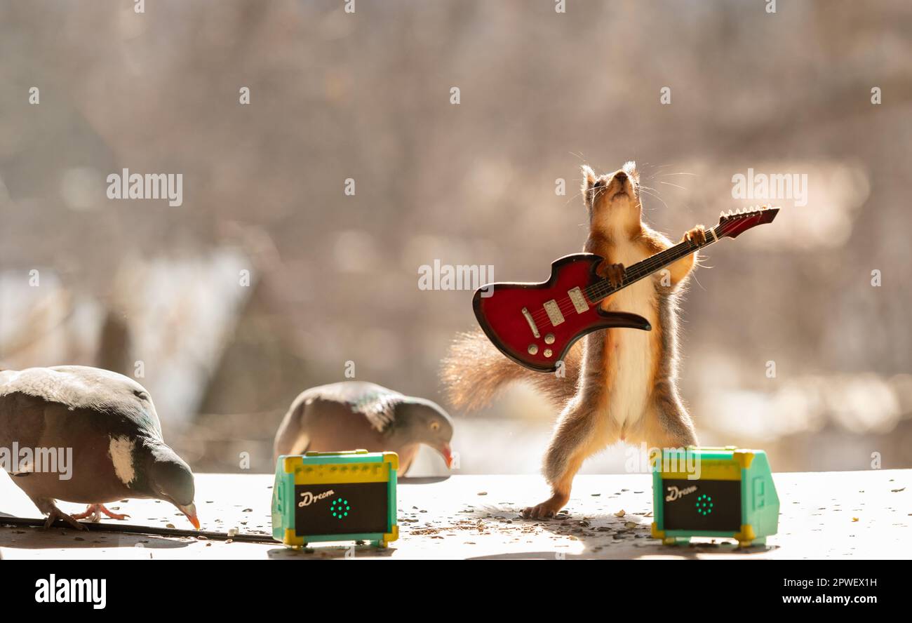 Guitar solist hi-res stock photography and images - Alamy