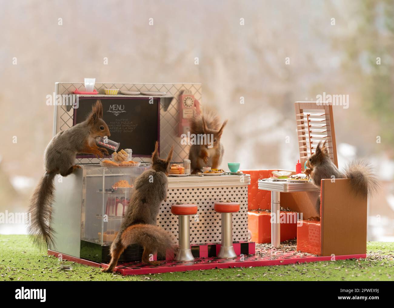 Restaurant food fight hi-res stock photography and images - Alamy