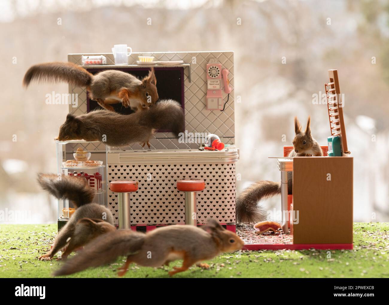 Duo restaurant hi-res stock photography and images - Alamy