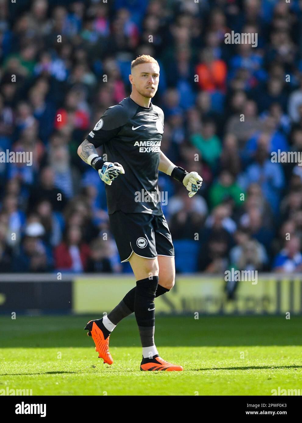 Jason Steele of Brighton during the Premier League match between ...